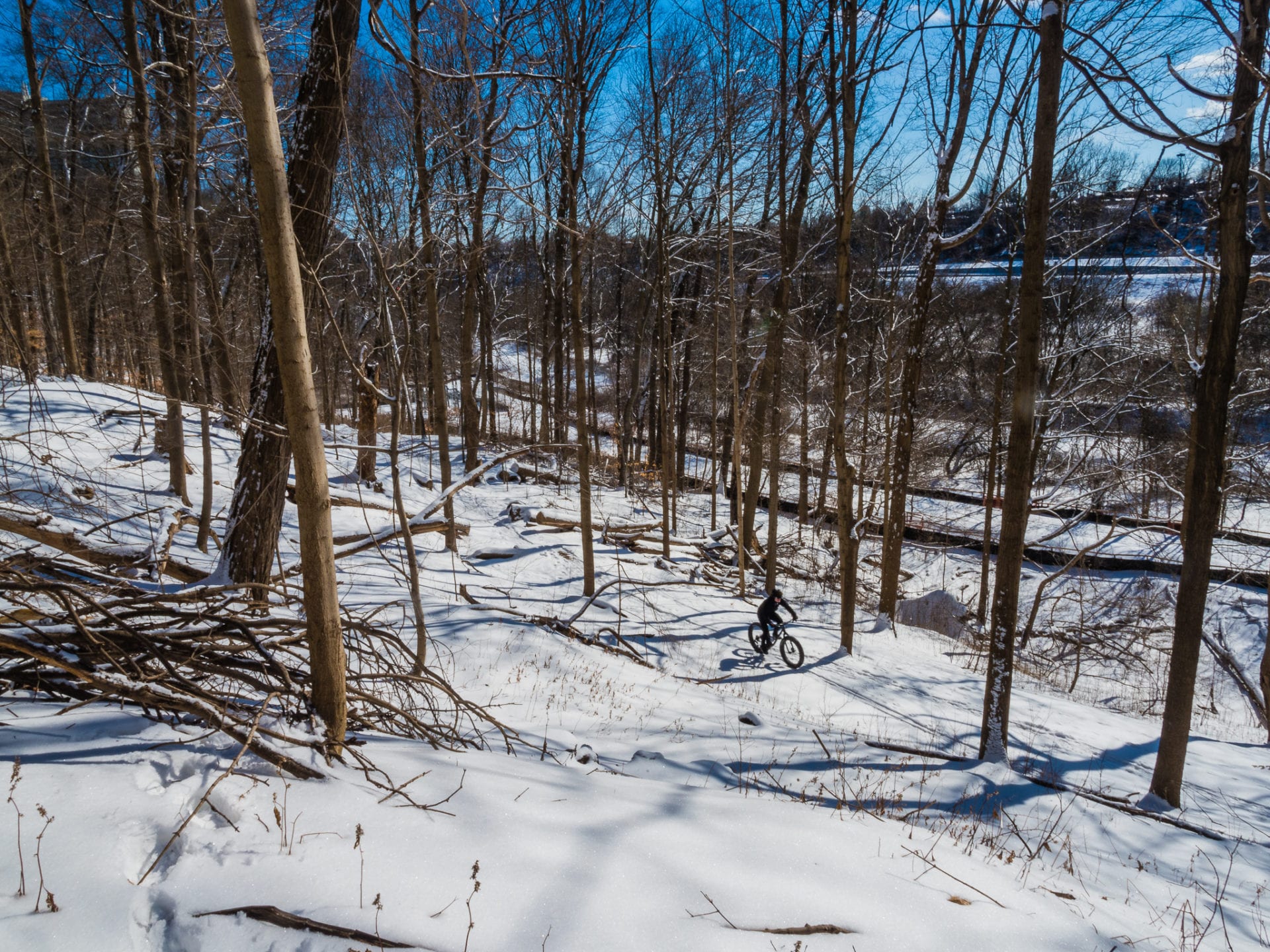MTB Trail Don Valley MTB Trails - Toronto - Trailchew