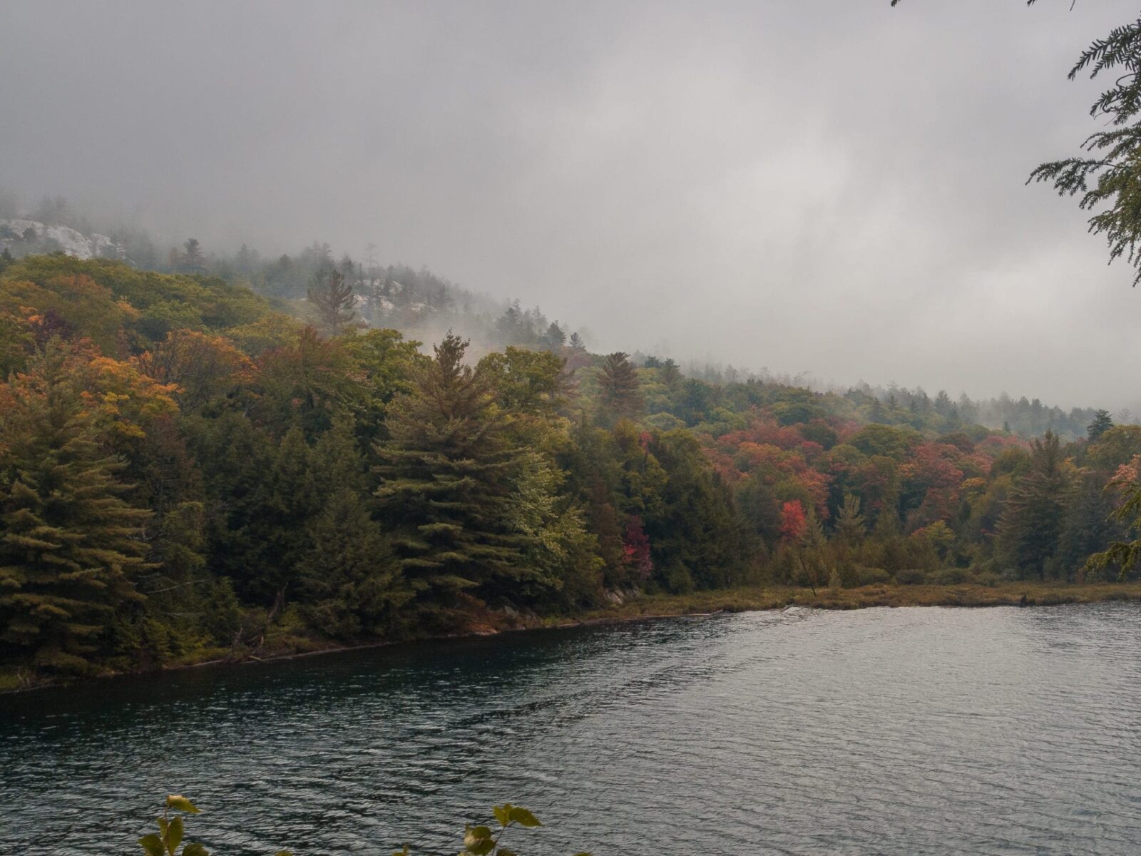 Canoeing in Killarney Provincial Park - Blog - Trailchew